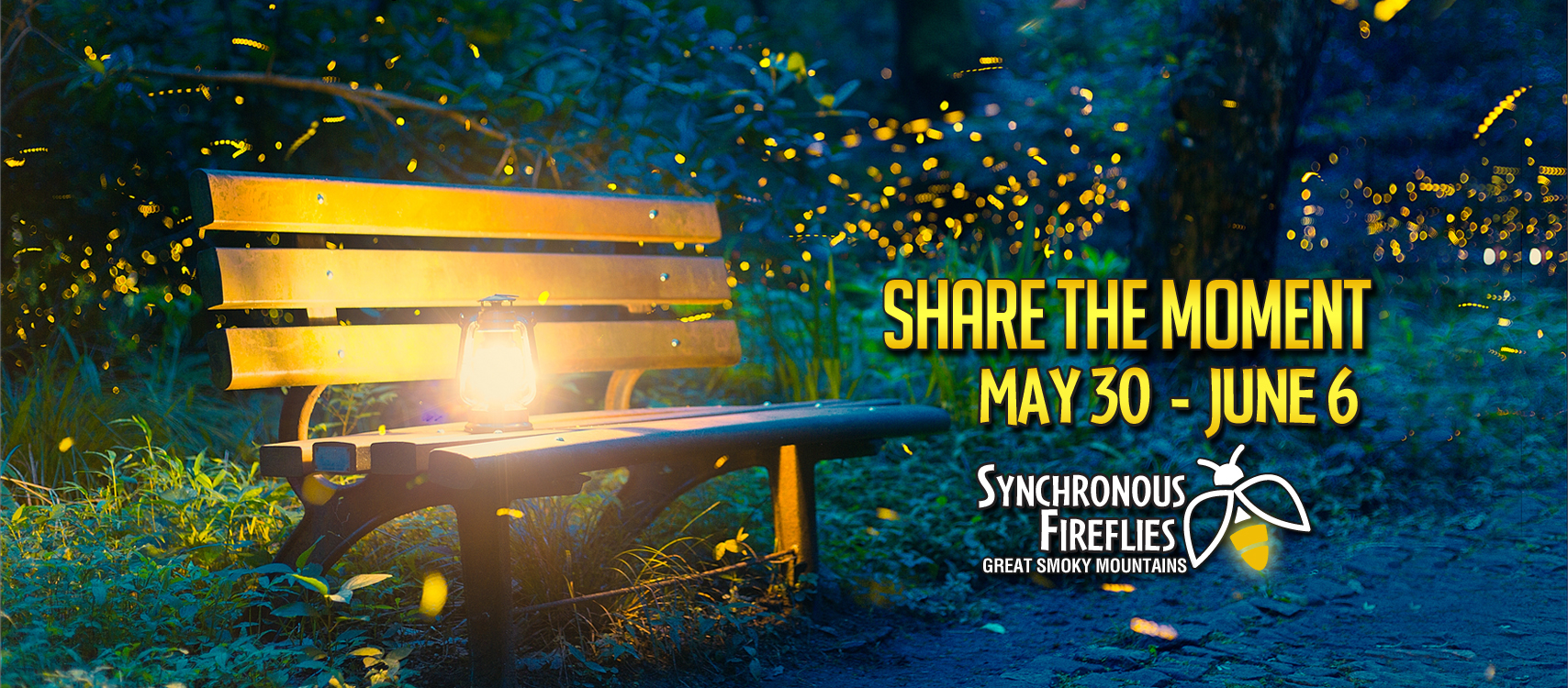 Synchronous Fireflies in the Smoky Mountains - Best Read Guide Smoky ...